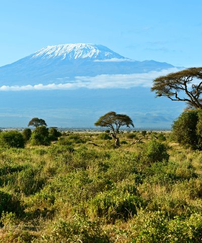 Parc national du Masai Mara - TraceDirecte