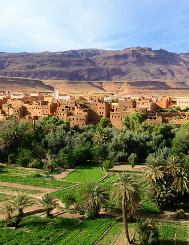 Que faire à Azrou ? (cascades, altitude, etc.) | Guide de voyage au ...