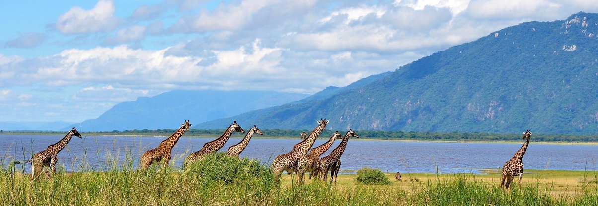 Le Parc national du Lac Manyara - TraceDirecte