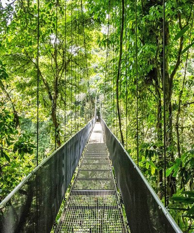 Parc national du Corcovado au Costa Rica - TraceDirecte