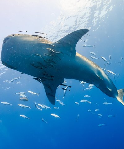 5 randonnées incontournables à Madagascar - TraceDirecte