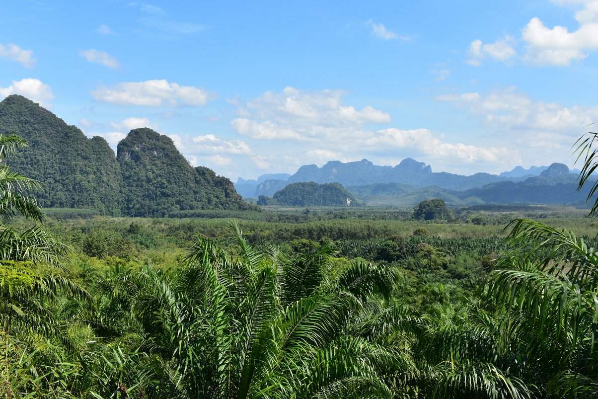 Parc national de Khao Sok en Thaïlande I Guide de Voyage TraceDirecte ...